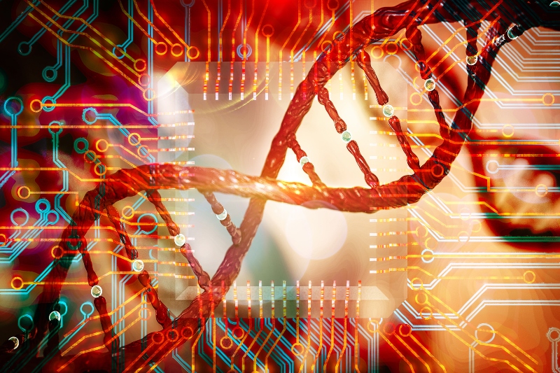 Bioinformatik – RCT Magazin