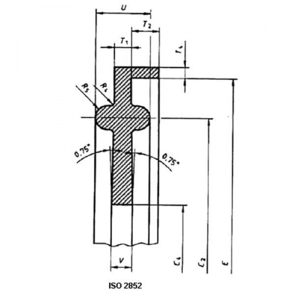 EPDM-Clampdichtungen - Norm: ISO 2852 | Reichelt Chemietechnik
